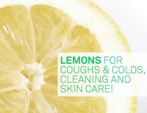When Life Gives you Lemons......Make Skin Cream!? - Ashlins ...