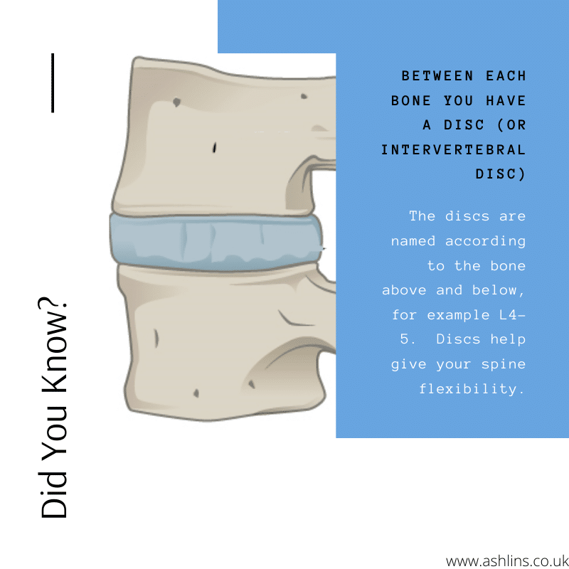 Beginner's Guide to Low Backs | Ashlins | Walthamstow Massage Clinic
